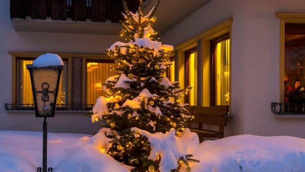 Árvore de Natal coberta de neve, com luzes e enfeites, em frente a um edifício com grandes janelas e um banco.