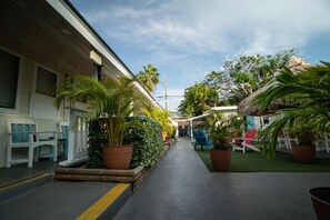 Seashell Motel & Key West Hostel in Key West: Find Hotel Reviews, Rooms ...