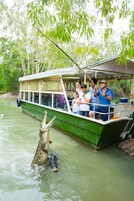 Um barco com passageiros e um crocodilo na água.
