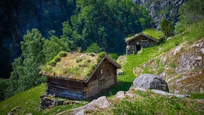 Uma cabana rústica de madeira com telhado inclinado, rodeada por vegetação exuberante e terreno rochoso.