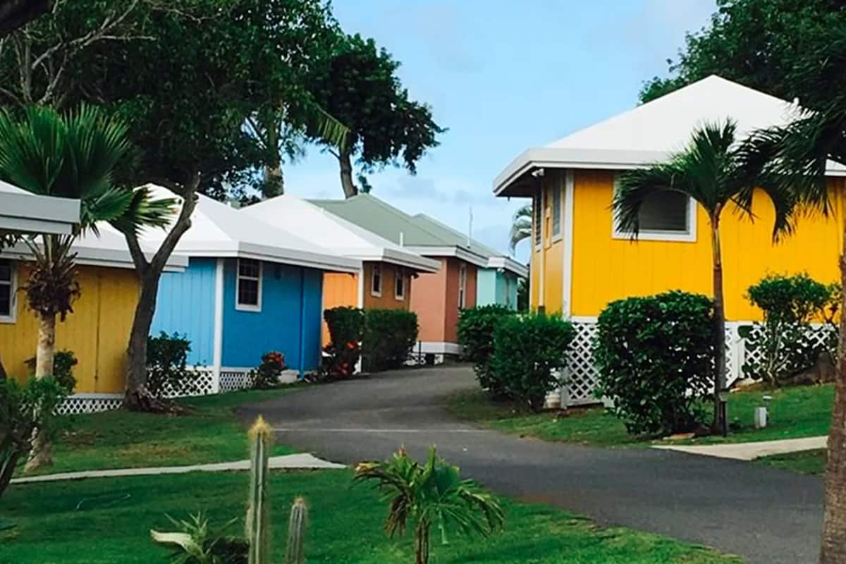 Uma fileira de casas coloridas com um caminho de paralelepípedos e um jardim de cactos em primeiro plano.