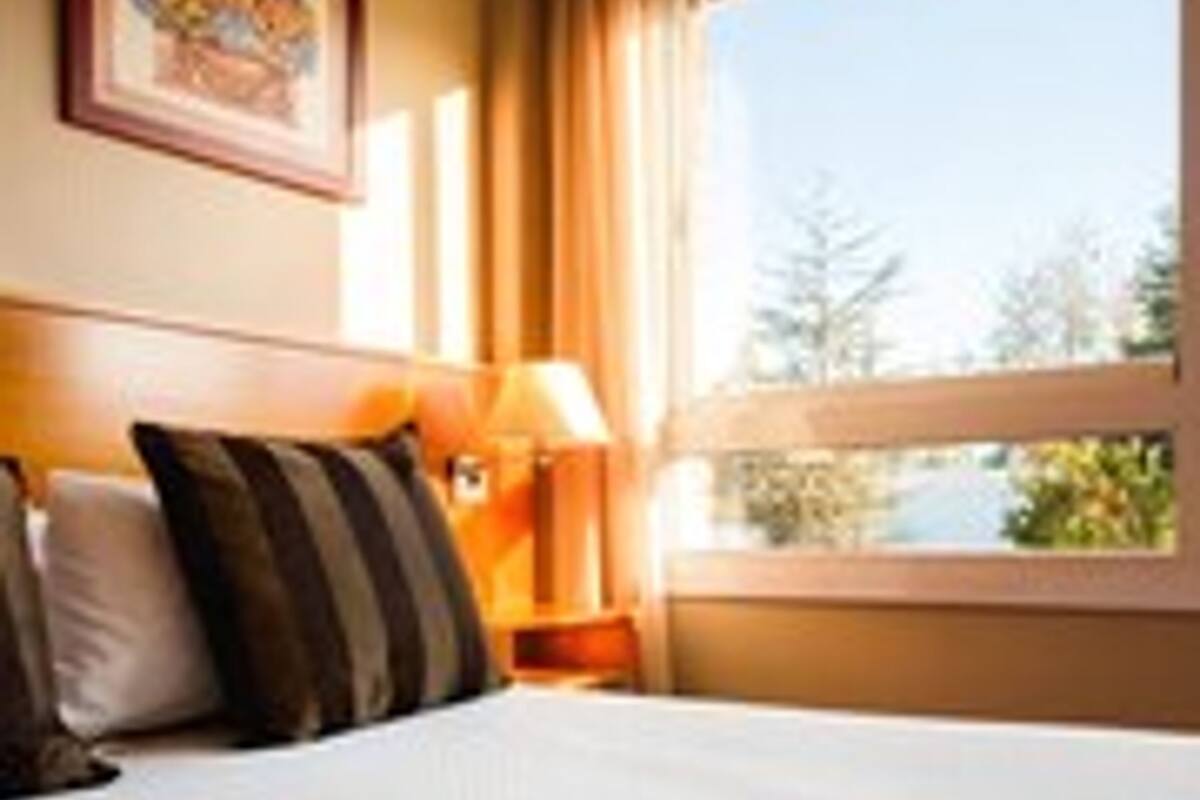 Quarto de hotel com cama, almofadas, mesa de cabeceira, abajur e janela com vista para árvores.