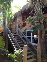 Escadaria que leva a um edifício com telhado de palha, rodeado por vegetação tropical.