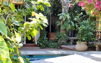 Piscina rodeada por vegetação exuberante e plantas em vasos.