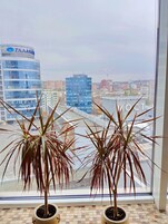 Apartamento Deluxe, 1 quarto, cozinha, Vista para a cidade | Vista do quarto