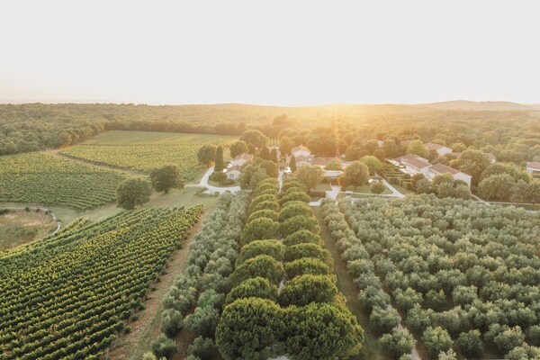 Meneghetti Wine Hotel And Winery - Bale