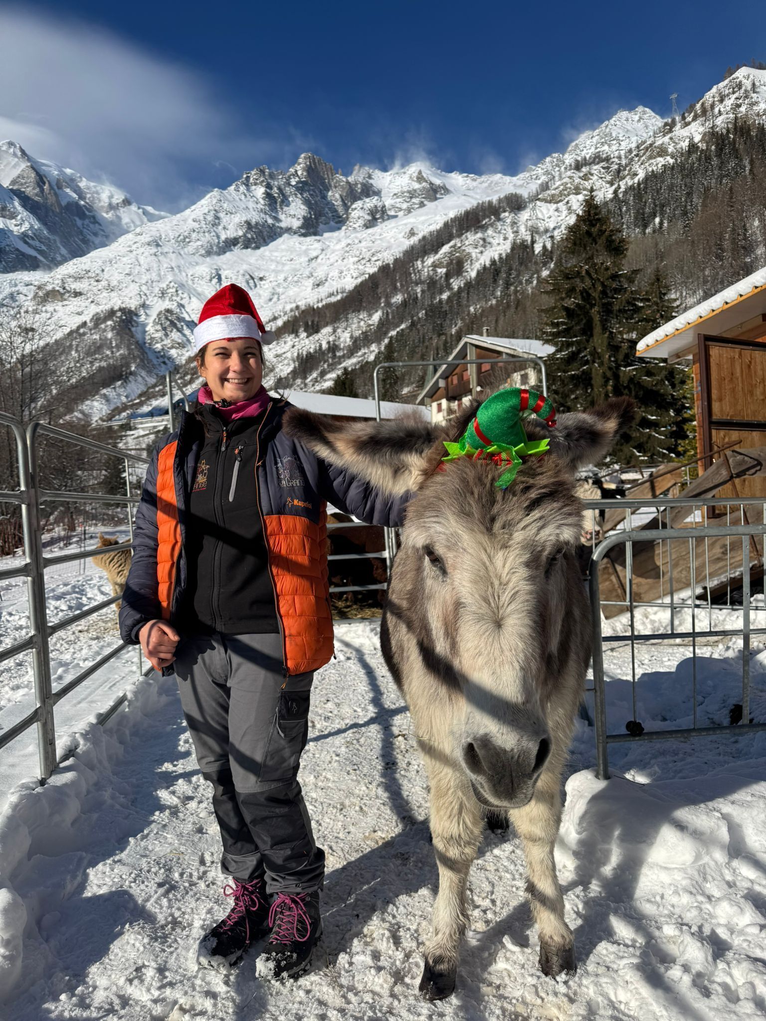 Uma pessoa ao lado de uma vaca em área externa nevada, com montanhas ao fundo.