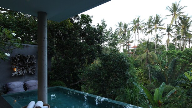 Uma área de piscina tranquila com vista para vegetação exuberante e altas palmeiras.