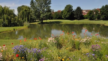 Golfe
