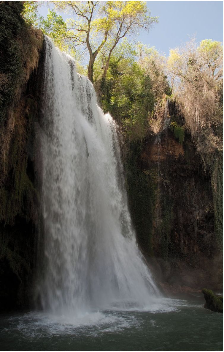 Uma cascata desce por um penhasco rochoso, rodeada por vegetação exuberante.
