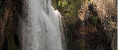 Uma cascata desce por um penhasco rochoso, rodeada por vegetação exuberante.
