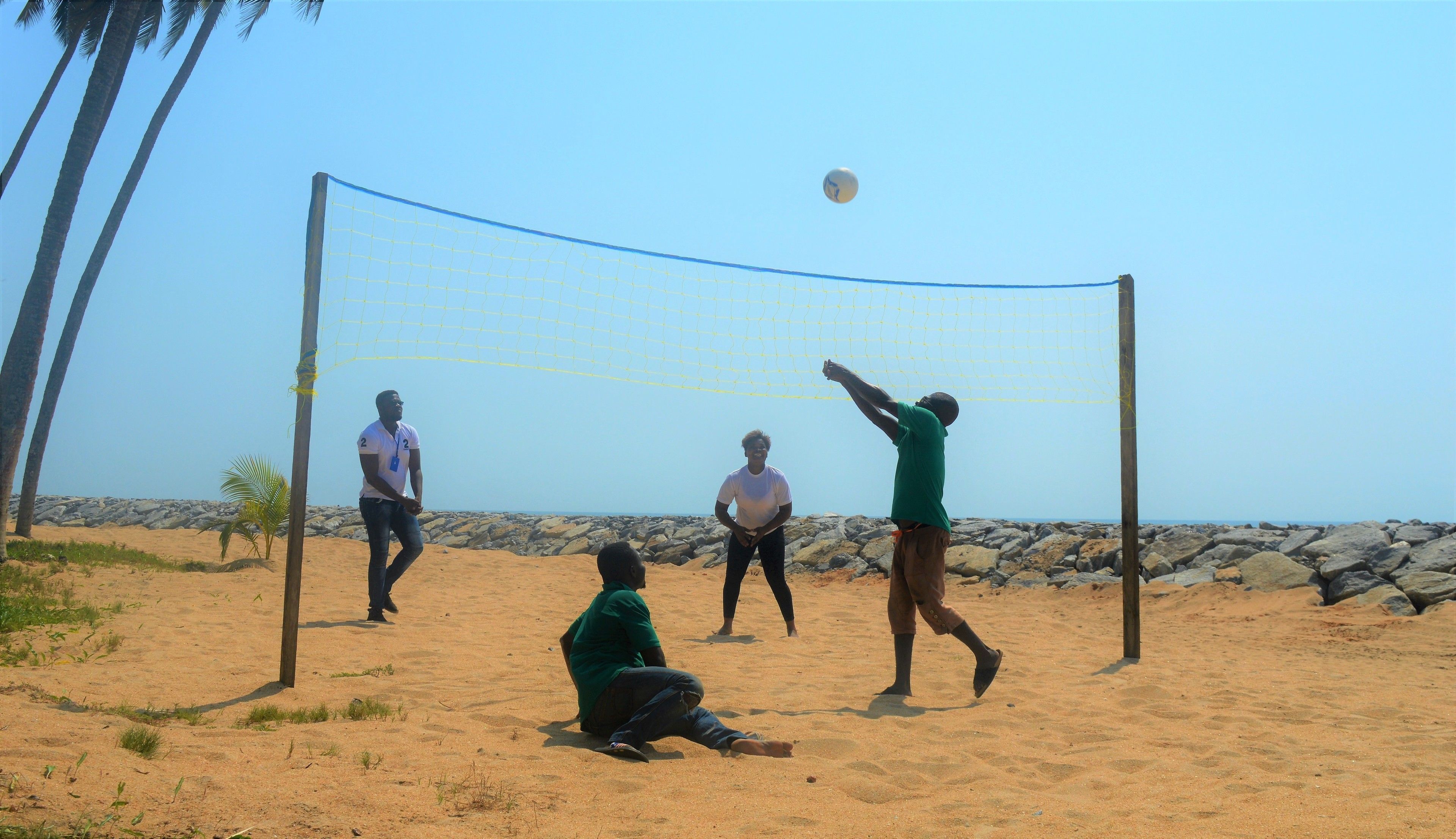 Jogo de voleibol de praia com jogadores e rede, com um litoral rochoso e palmeiras ao fundo.