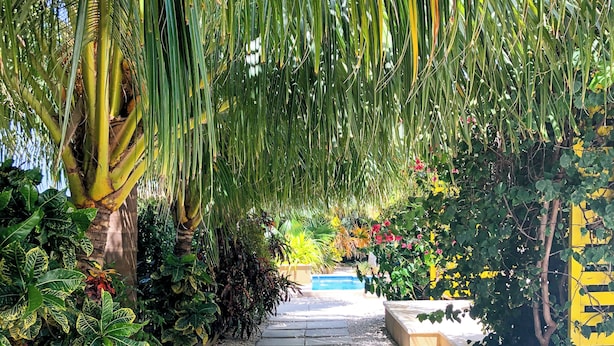 Um caminho com pedrinhas, ladeado por vegetação exuberante e plantas floridas.