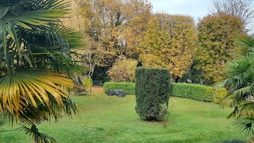 Suíte, terraço, vista para o jardim | Vista do quarto