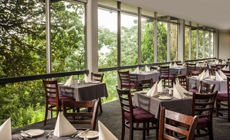 Restaurante com mesas preparadas para refeições, grandes janelas e vista para árvores.