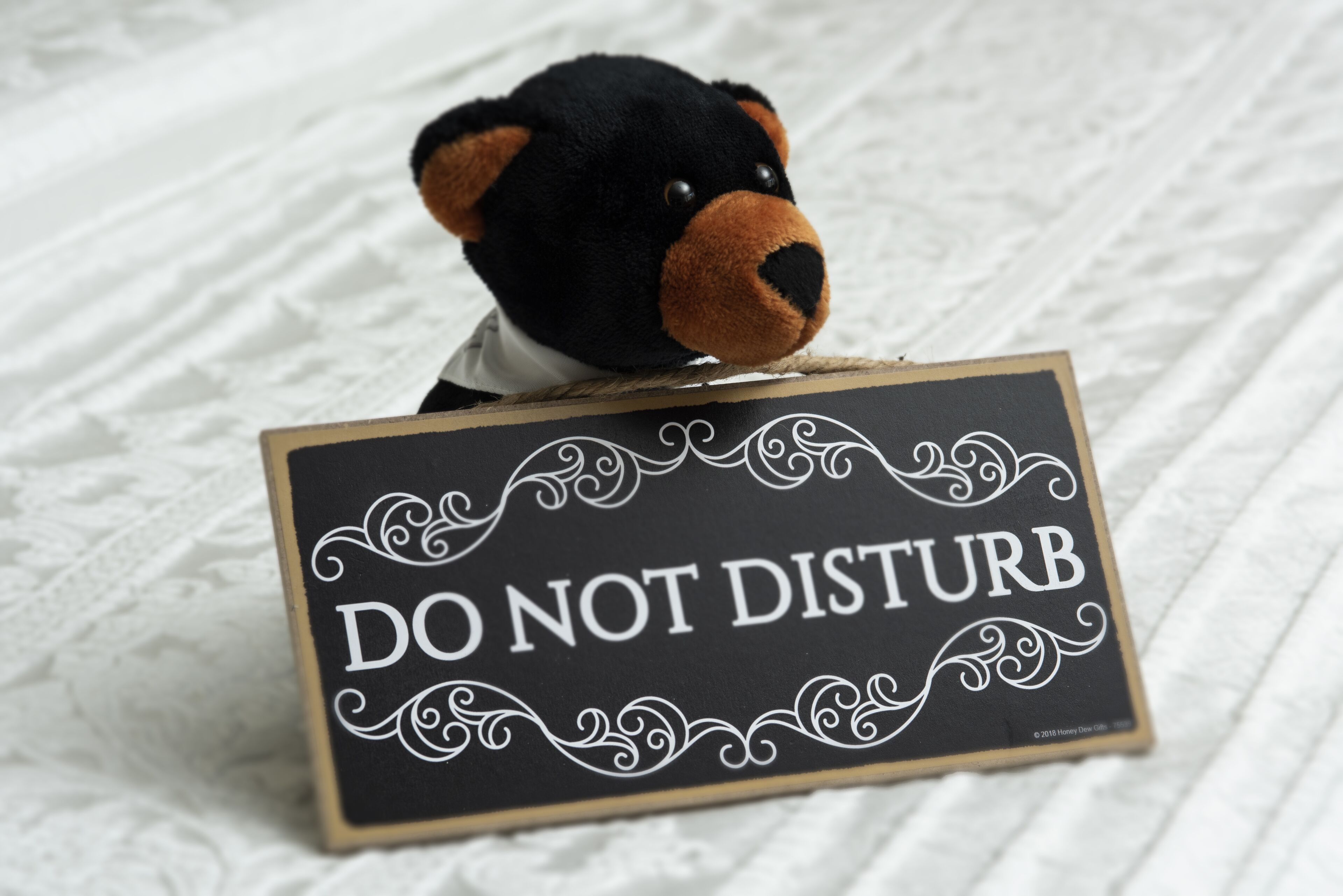 Um urso de pelúcia segurando uma placa com a mensagem 'Não Perturbe'.
