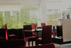 Uma área de refeições moderna com cadeiras estofadas vermelhas, uma mesa preta e plantas em vasos.