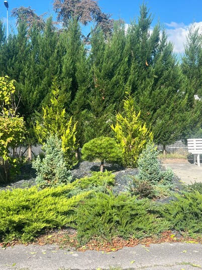 Budget Hotel - Melun Sud Dammarie Les Lys