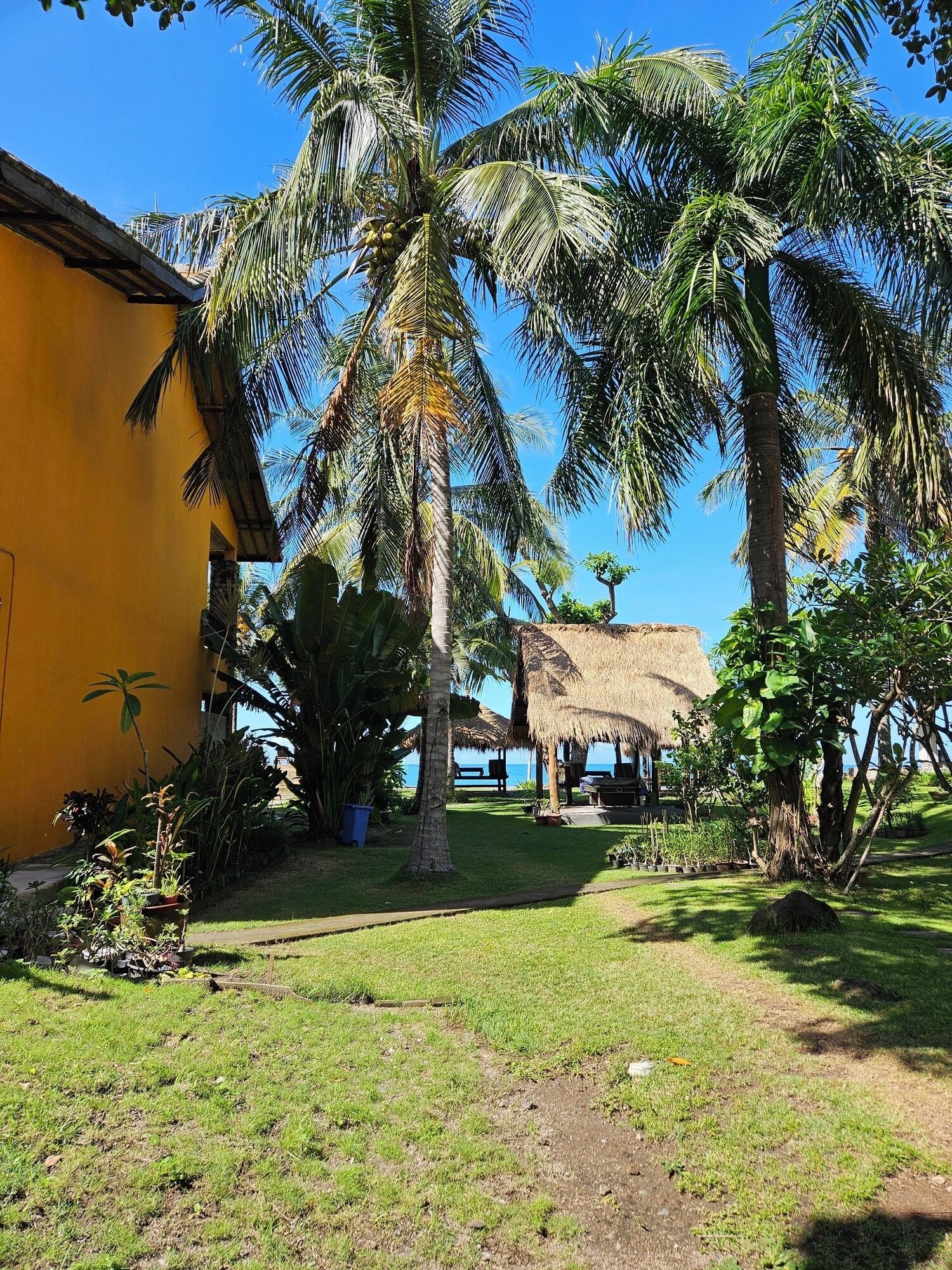 Jardim