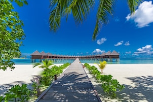 Vista da propriedade