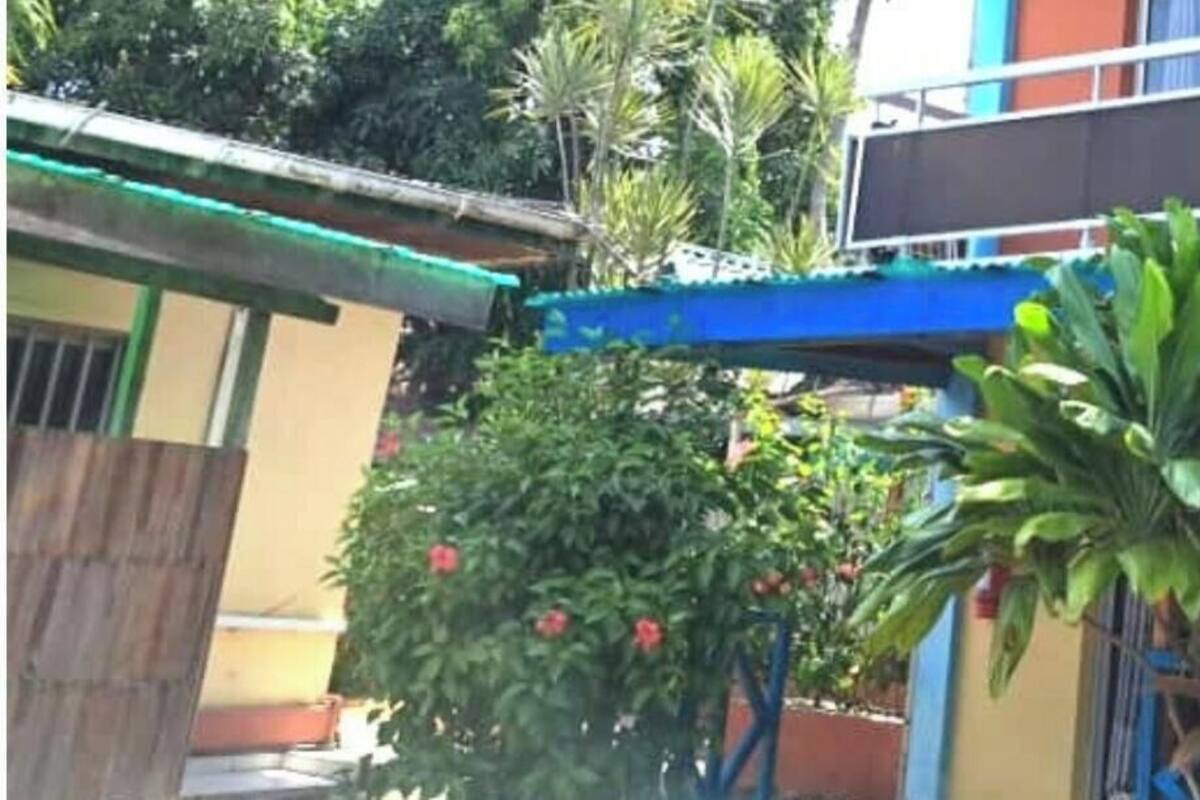 Apartamento Premium, casa de banho anexa, vista para o mar (Rdc) | Diversos