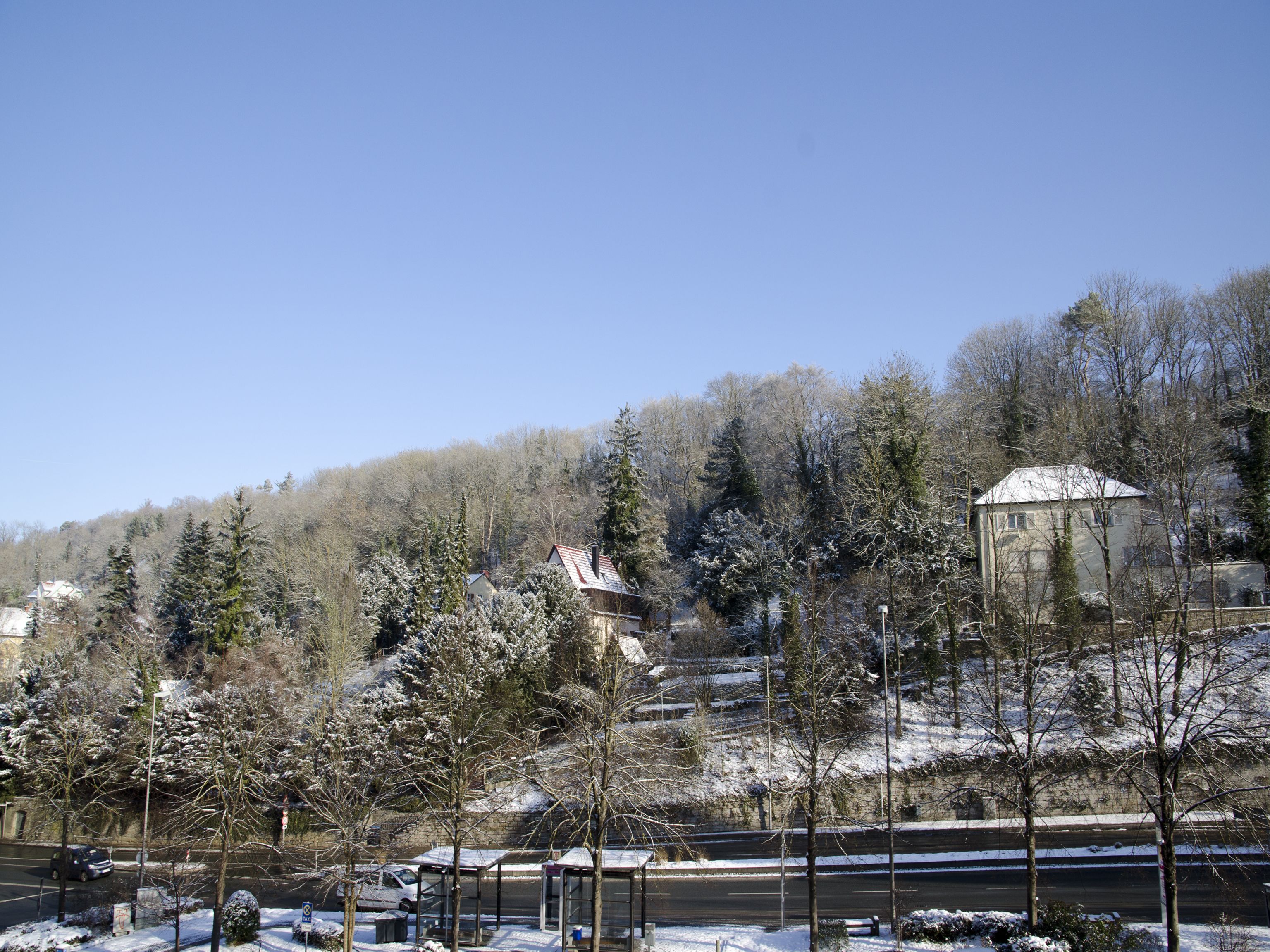 Cena de inverno com estrada, árvores e edifícios.