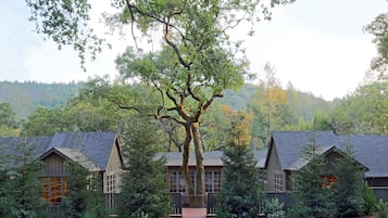 Tratamentos corporais, aromaterapia, envolvimentos corporais