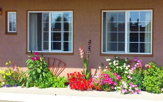 Terrenos do alojamento