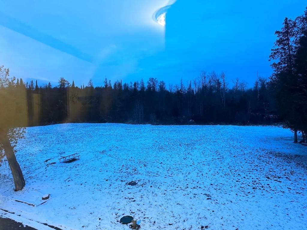 Campo coberto de neve com um banco e árvores ao fundo.
