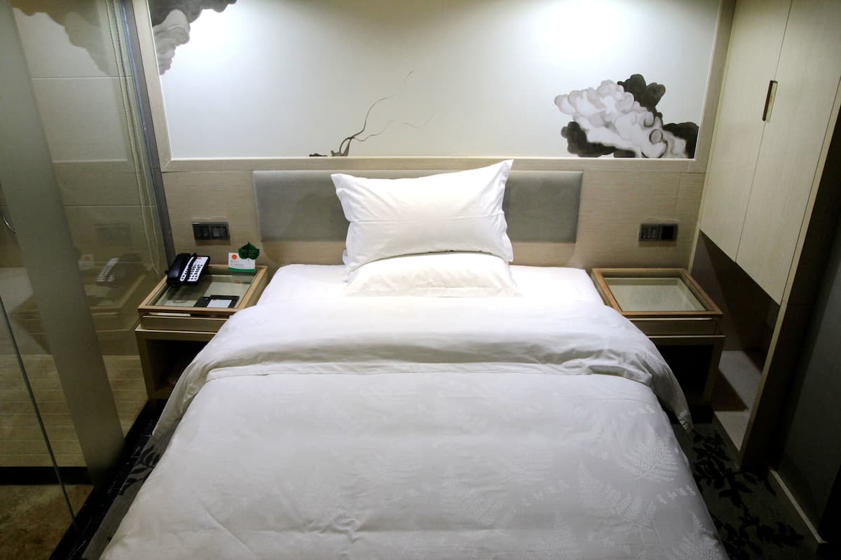 Quarto Standard, 1 cama de casal | Minibar, cofre no quarto, secretária, cortinas/cortinados opacos
