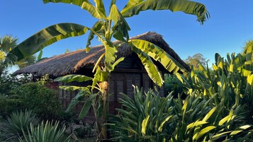 Uma casa tradicional com telhado de palha, rodeada por vegetação tropical exuberante.