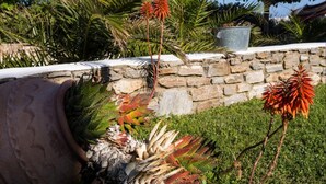 Um jardim com paisagismo, uma parede de pedra, diversas plantas e um vaso de planta na parede.