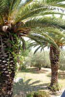 Terrenos do alojamento