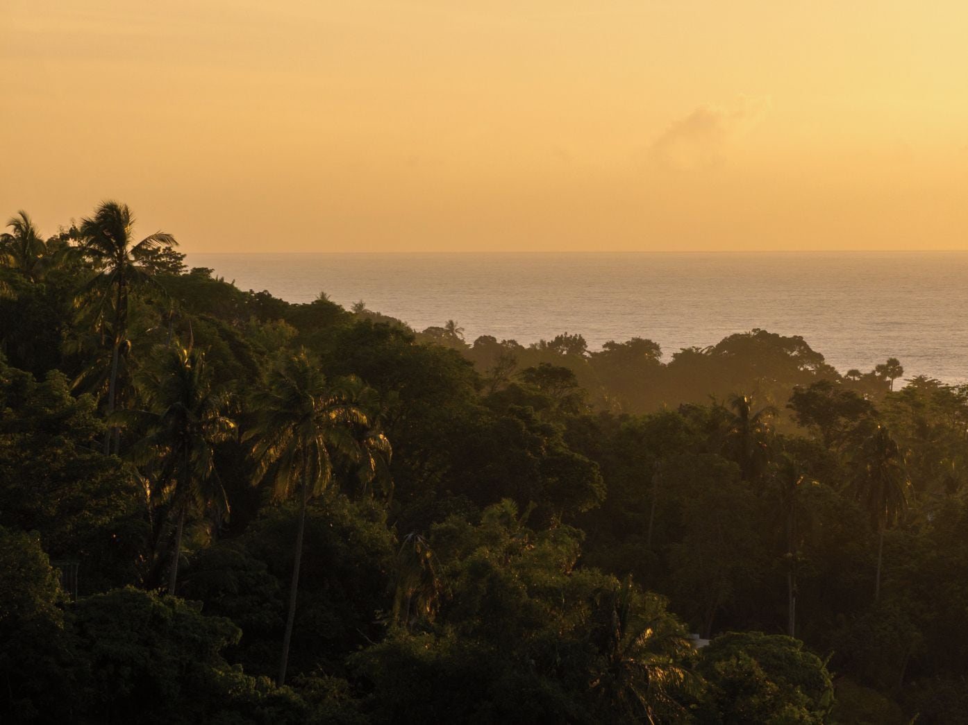 Paisagem costeira com vegetação densa e vista para o mar.