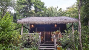 Uma cabana com telhado de palha e escada de madeira que dá para uma porta, em meio a vegetação exuberante.