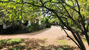 Uma estrada rural ladeada por vegetação exuberante e um edifício com parede de pedra.