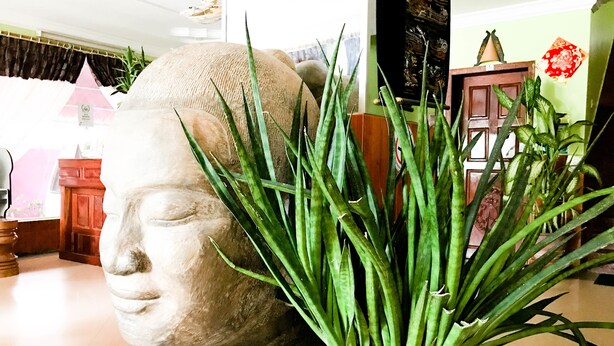 Quarto com um busto de pedra grande, uma planta em vaso com folhas verdes longas e um armário de madeira com um objeto decorativo vermelho em cima.