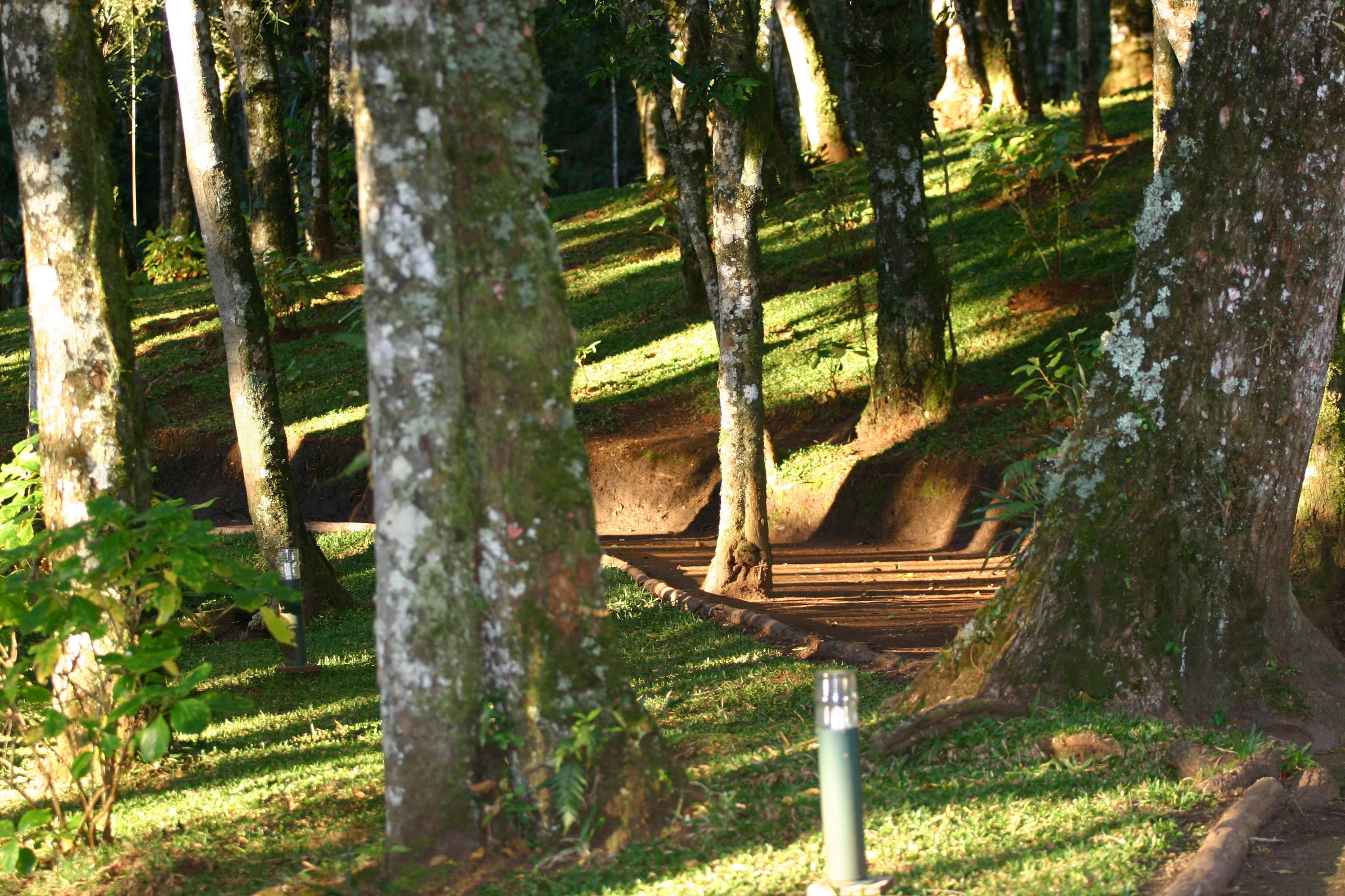 Uma área arborizada com uma trilha de terra e uma estrutura metálica.