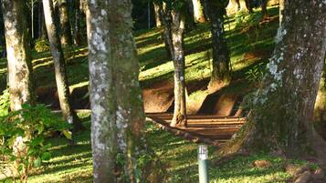 Uma área arborizada com uma trilha de terra e uma estrutura metálica.