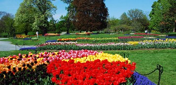 Vista da propriedade