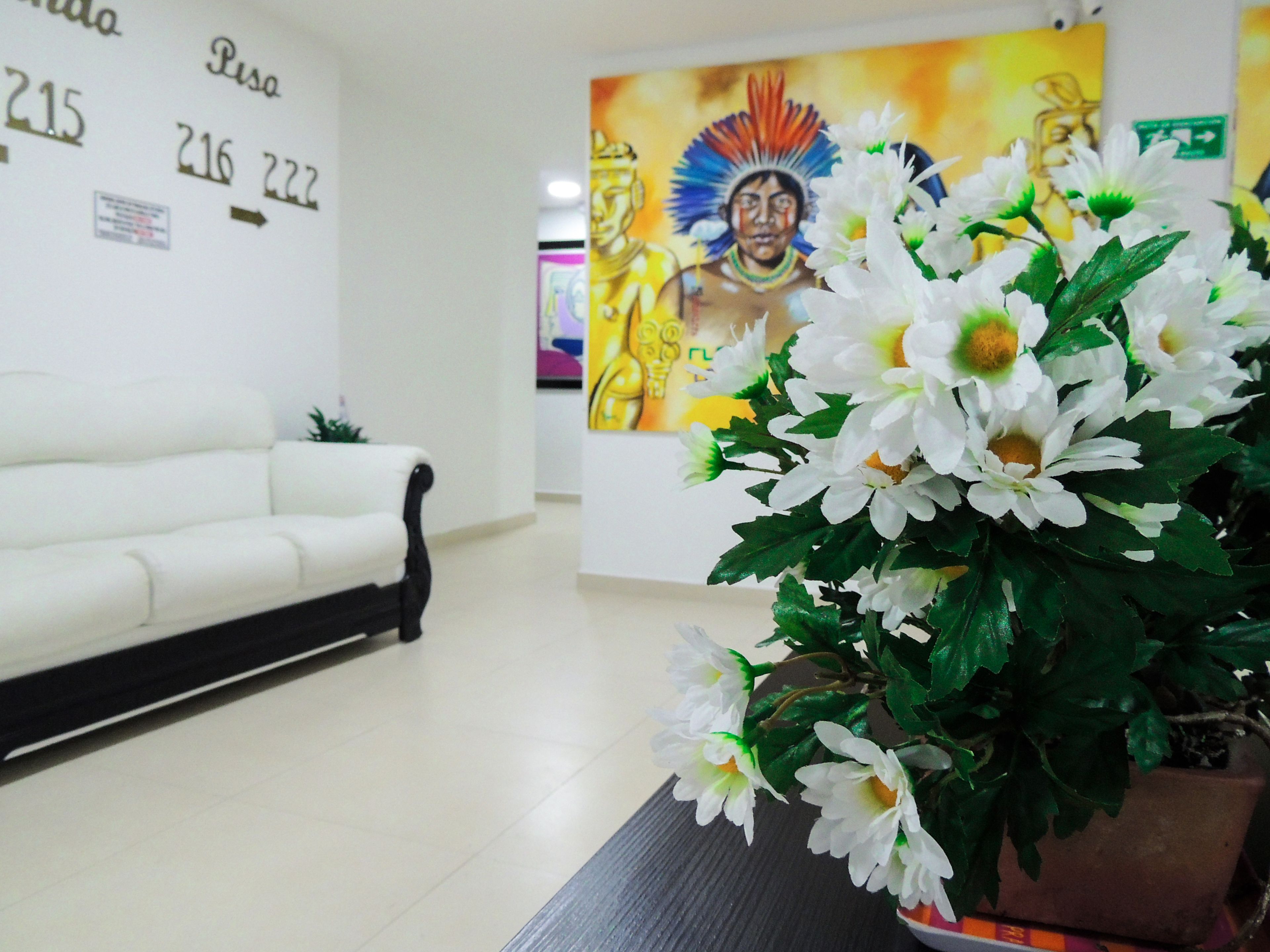 Uma área de recepção com um sofá branco, uma planta em vaso com flores brancas e um mural na parede.