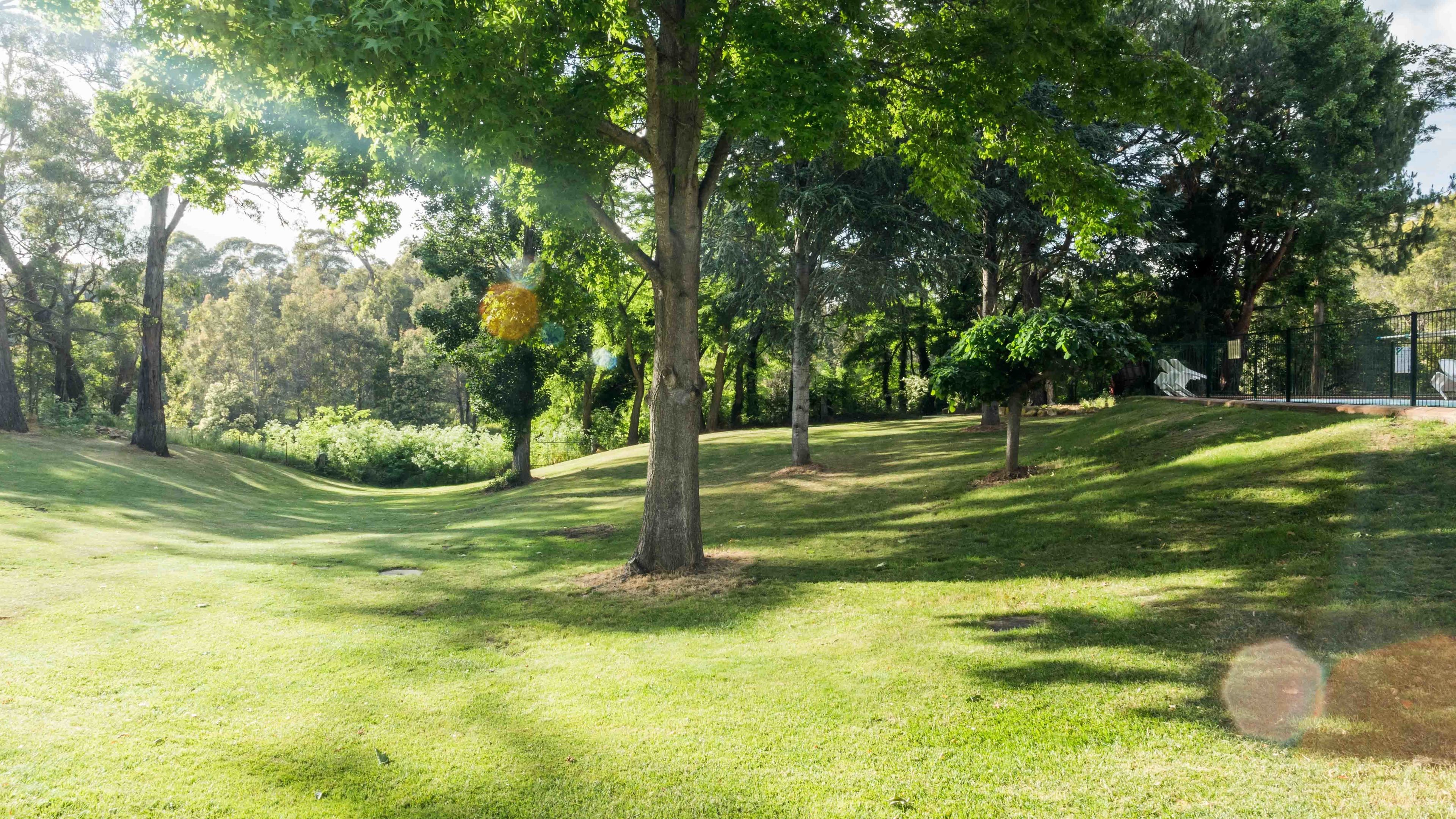 Uma área de parque gramada com árvores e uma cerca.