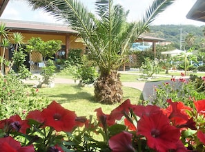 Um jardim com flores vermelhas, uma palmeira e um edifício com fachada amarela.