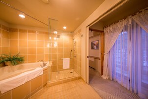 Casa de banho com banheira, chuveiro e porta de vidro que dá para outro espaço.