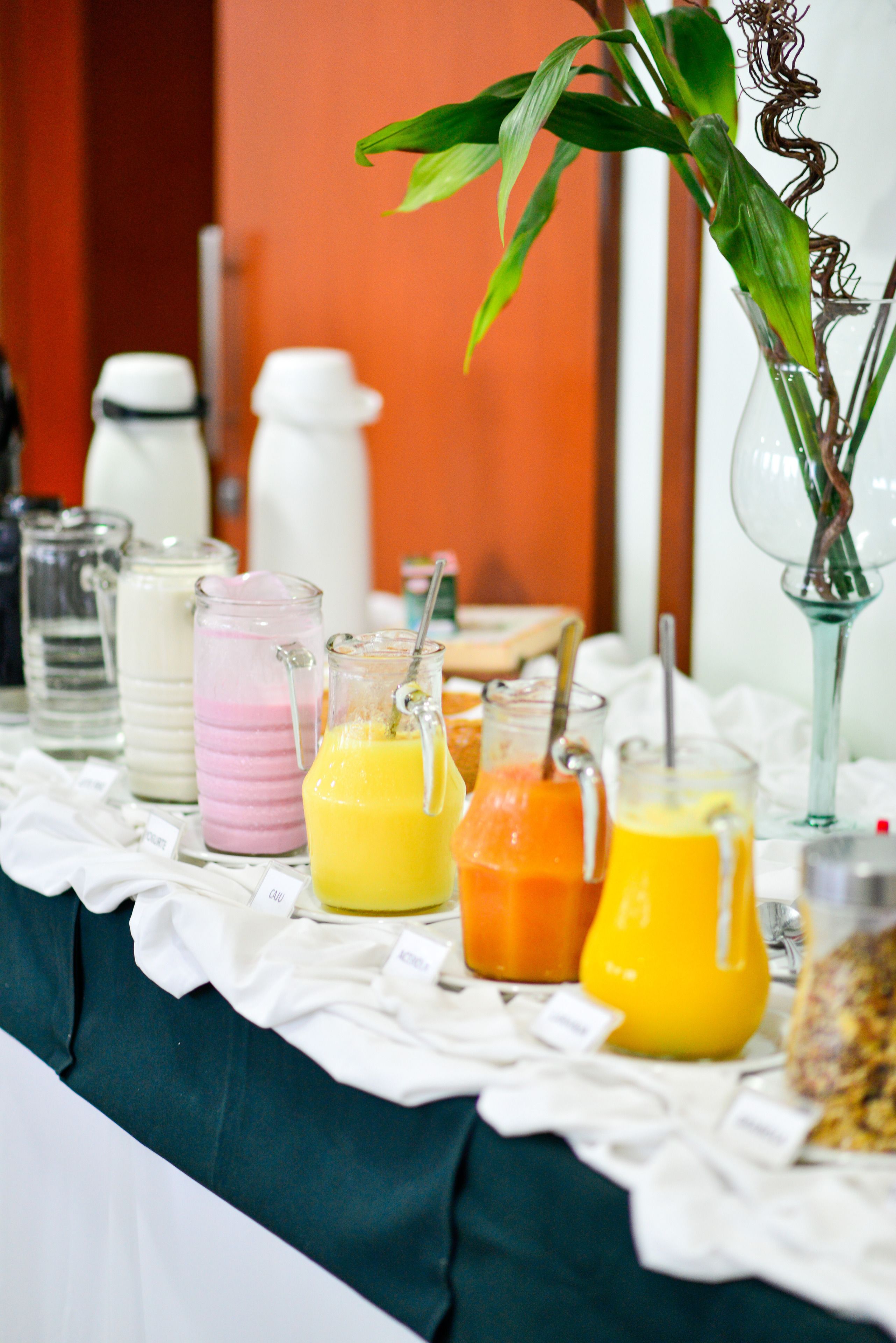 Uma mesa de buffet com diversas bebidas em recipientes de vidro, uma planta em vaso e um jarro branco.