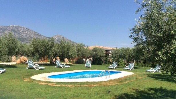 Uma piscina com espreguiçadeiras, cercada por árvores e montanhas ao fundo.