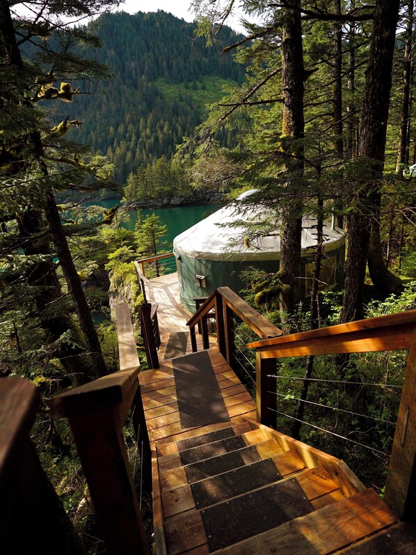 Glamping Yurt Resort on Private Island near Kenai Fjords NP. Kayak, SUP ...