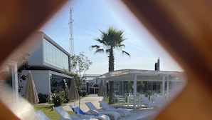 Uma área de piscina com cadeiras de sol brancas e guarda-sóis, uma palmeira e um edifício moderno com amplas janelas.