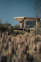 Pormenores do exterior