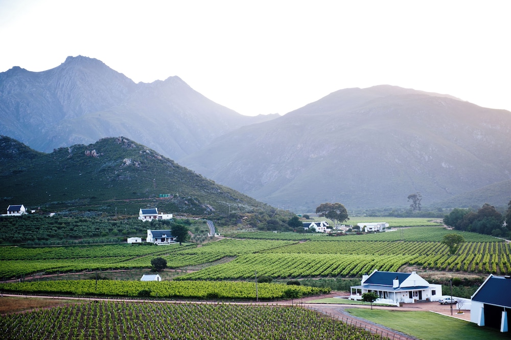 Orange Grove - Western Cape